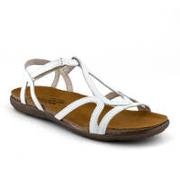 Buy Naot-Dorith - NAOT | Stride Shoes